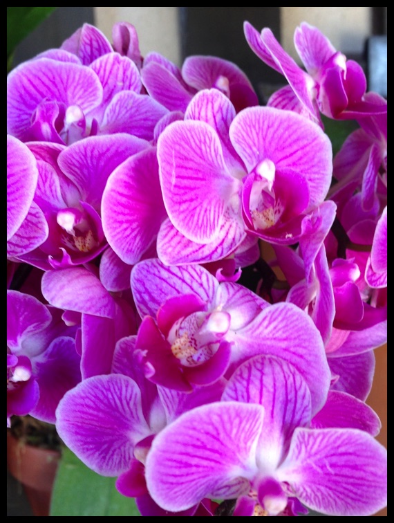 Sajith Jayasinghe Contact